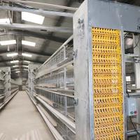 China Coop Rearing Poultry Farming Battery Cage System , A Type Layer Cages For Chicken for sale