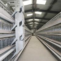 China High Efficiency Poultry Chicken Cage 90 - 160 Birds / Set Rigid Frame for sale