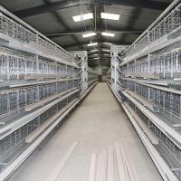 China High Efficiency Poultry Chicken Cage 90 - 160 Birds / Set Rigid Frame for sale