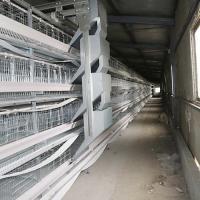China Stable Running Poultry Layer Cage , Automatic Control Chicken Coop Cage for sale