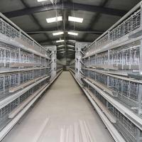 China 3 / 4 / 5 Tiers Layer Poultry Farm Cage , Custom Power Battery Hen Cages for sale