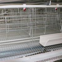 China 3 / 4 / 5 Tiers Layer Poultry Farm Cage , Custom Power Battery Hen Cages for sale