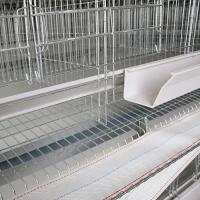China Auto Feeding Egg Laying Chicken Cages , Q235 Steel Wire Layer Bird Cage for sale
