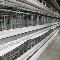 China 3 / 4 / 5 Tiers Layer Chicken Cage 190 * 35 * 38cm / 195 * 45 * 41cm Size for sale