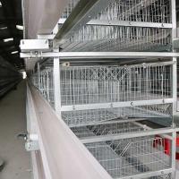 China U Shape Steel Automatic Poultry Cage , 3 Phase 50HZ A Frame Layer Cages for sale