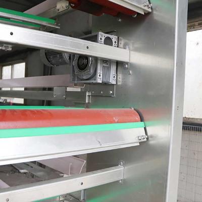 China U Shape Steel Automatic Poultry Cage , 3 Phase 50HZ A Frame Layer Cages for sale