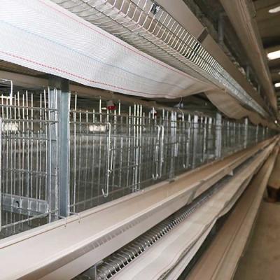 China Auto Feeding Egg Laying Chicken Cages , Q235 Steel Wire Layer Bird Cage for sale