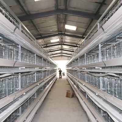 China 3 / 4 / 5 Tiers Layer Poultry Farm Cage , Custom Power Battery Hen Cages for sale