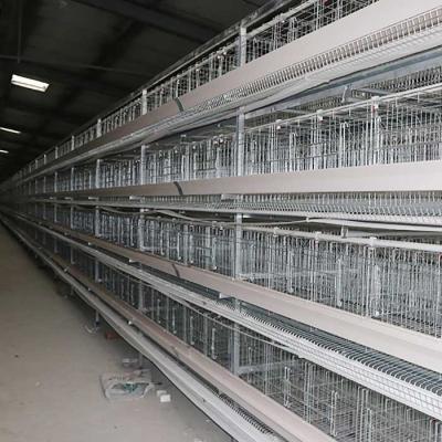 China Coop Rearing Poultry Farming Battery Cage System , A Type Layer Cages For Chicken for sale