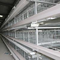 China Galvanized Wrie Battery Cages For Laying Hens , Egg Chicken Cage Labor Saving for sale