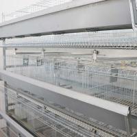 China Anti Corrosion Layer Chicken Cage For Laying Eggs Large Scale Farm Use for sale