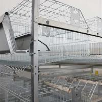 China High Laying Rate Layer Chicken Cage 195cm Long Less Disability 44 - 69kg Weight for sale