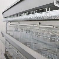 China Anti Corrosion Layer Chicken Cage For Laying Eggs Large Scale Farm Use for sale