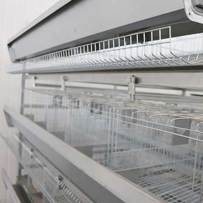 China Anti Corrosion Layer Chicken Cage For Laying Eggs Large Scale Farm Use for sale