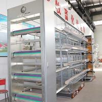 China High Laying Rate Layer Chicken Cage 195cm Long Less Disability 44 - 69kg Weight for sale
