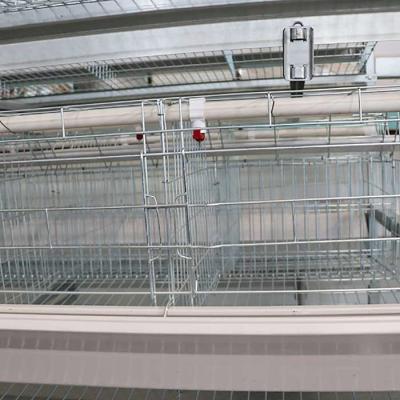 China Adjusting Automatic Battery Cage System , Enriched Wire Steel Cage For Chicken for sale