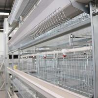 China Anti Corrosion Layer Chicken Cage For Laying Eggs Large Scale Farm Use for sale