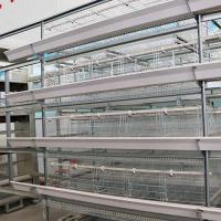 China Stable Running Poultry Layer Cage , Automatic Control Chicken Coop Cage for sale