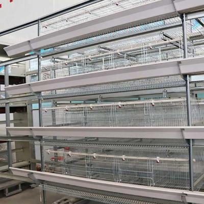 China Stable Running Poultry Layer Cage , Automatic Control Chicken Coop Cage for sale