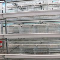 China Battery Coop Rearing Poultry Chicken Cage Large Capacity For Hen Raising for sale