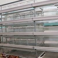 China Adjusting Automatic Battery Cage System , Enriched Wire Steel Cage For Chicken for sale