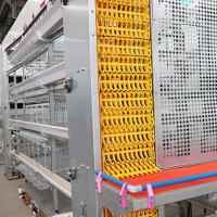 China Adjusting Automatic Battery Cage System , Enriched Wire Steel Cage For Chicken for sale