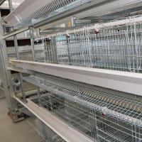 China Adjusting Automatic Battery Cage System , Enriched Wire Steel Cage For Chicken for sale