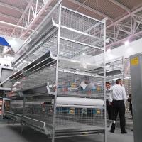 China Q235 Steel 45 Days Chicken Cage , Labor Saving Broiler Farming In Cage System for sale