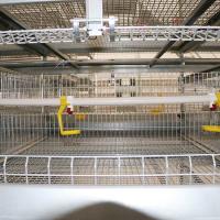 China Automatic Broiler Battery Cage System For Animal Poultry Husbandry Livestock for sale