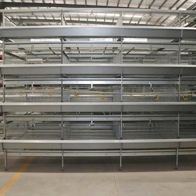 China Hot Dipped Wire Mesh Broiler Chicken Cage System Automatic Feeding / Drinking for sale