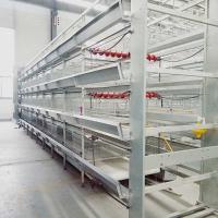 China Automatic Broiler Battery Cage System For Animal Poultry Husbandry Livestock for sale