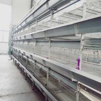 China H Frame 8 Doors Broiler Chicken Cage Automatic Hot Dip Galvanized for sale