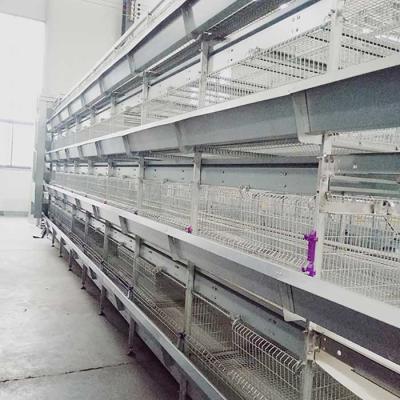 China H Frame 8 Doors Broiler Chicken Cage Automatic Hot Dip Galvanized for sale