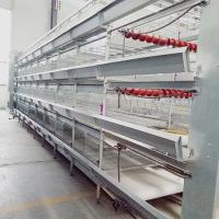 China Anti Fall Broiler Chicken Cage A Type / H Type Less Respiratory Diseases for sale