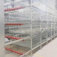 China Anti Fall Broiler Chicken Cage A Type / H Type Less Respiratory Diseases for sale
