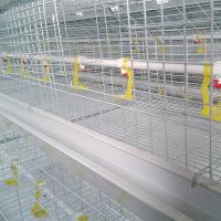 China Husbandry Livestock Poultry Chicken Cage 4 Tiers 8 Doors High Durability for sale