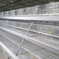 China Automatic 3 Tier Animal Cage , 96 - 120 Birds Broiler Cage System For Farm for sale