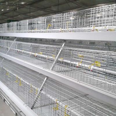 China Automatic 3 Tier Animal Cage , 96 - 120 Birds Broiler Cage System For Farm for sale