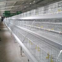 China Corrosion Resistant Poultry Layer Cage , Durable Ground Bird Feeder Cage for sale