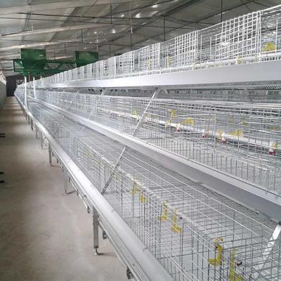 China Corrosion Resistant Poultry Layer Cage , Durable Ground Bird Feeder Cage for sale
