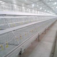 China High Efficiency Broiler Chicken Cage Long Lifespan Environmental Friendly for sale