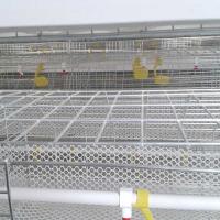 China 128 - 176 Birds Capacity High Performance H Type 4 Tier Broiler Chicken Cage for sale