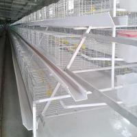 China Hot Dipped Broiler Chicken Cage System , Q235 Steel High Tech Poultry Cage for sale