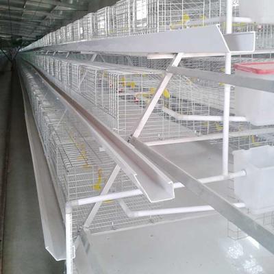 China Hot Dipped Broiler Chicken Cage System , Q235 Steel High Tech Poultry Cage for sale