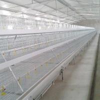 China Large Capacity Poultry Broiler Chicken Cage Hot Dipped Wire Mesh Material for sale