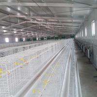 China High Efficiency Broiler Chicken Cage Long Lifespan Environmental Friendly for sale