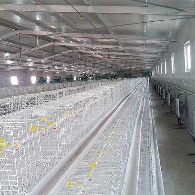 China High Efficiency Broiler Chicken Cage Long Lifespan Environmental Friendly for sale