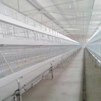 China Husbandry Livestock Poultry Chicken Cage 4 Tiers 8 Doors High Durability for sale