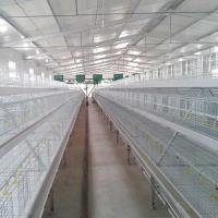 China 4 Tiers 8 Doors Broiler Chicken Cage Q235 Cold Drawn Wire Welding Large Elasticity for sale