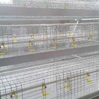 China 1.4m × 0.7m × 0.4m Battery Type Cage , Auto Drinking Layer Farming Cage for sale